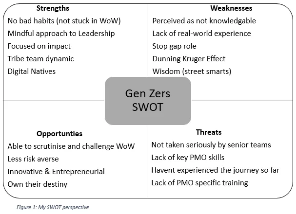 Generation SWOT | Wellingone PPM