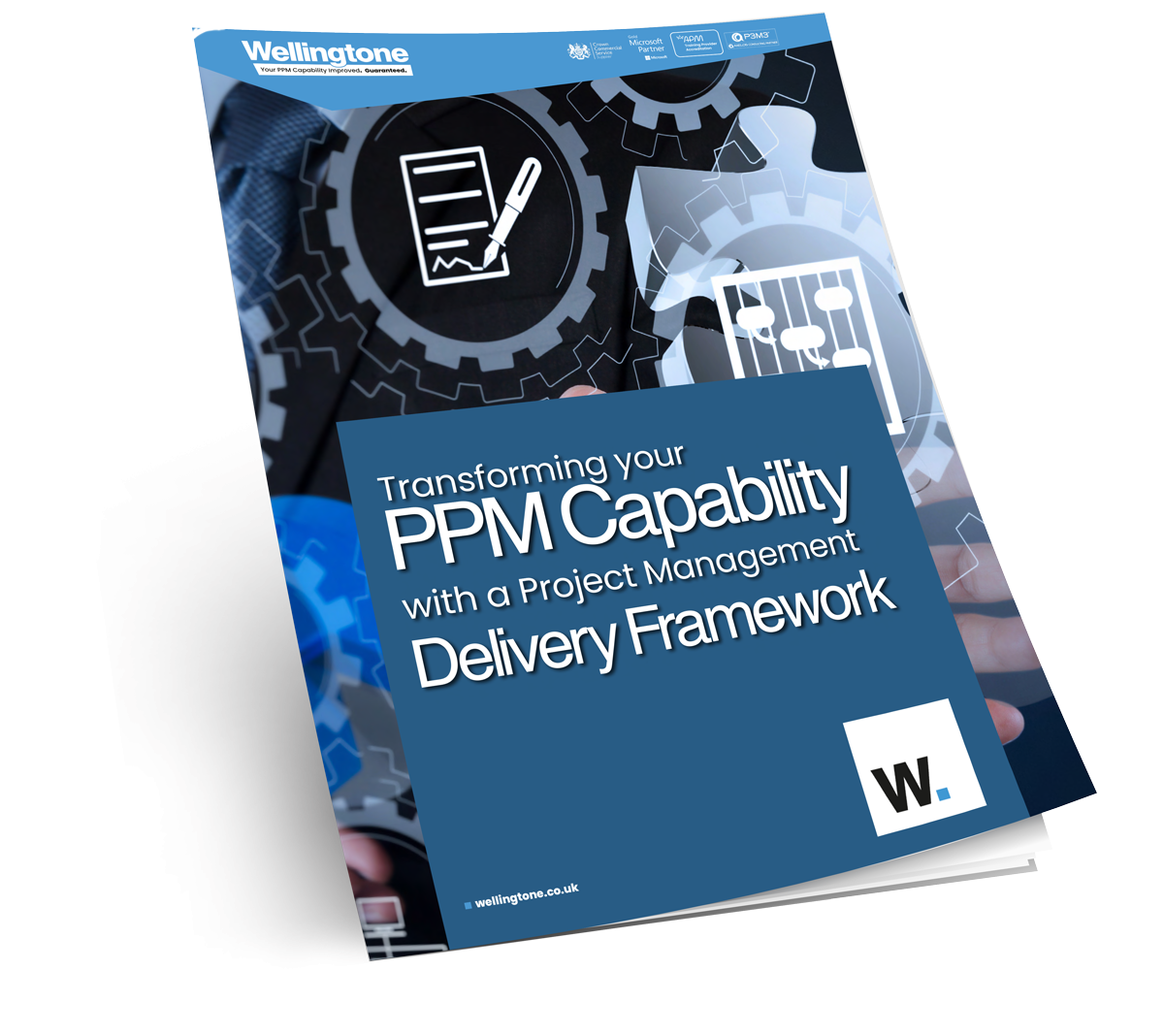 White Paper – Transforming your PPM Capability with a PM Delivery ...