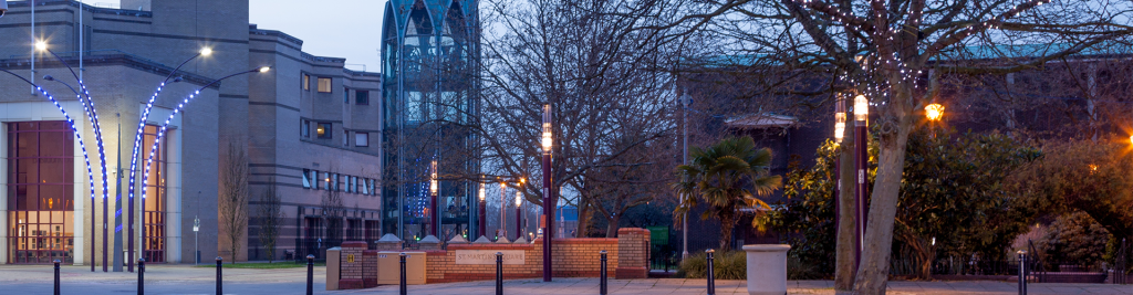 Basildon Council - Project Training Case Study | Wellingtone