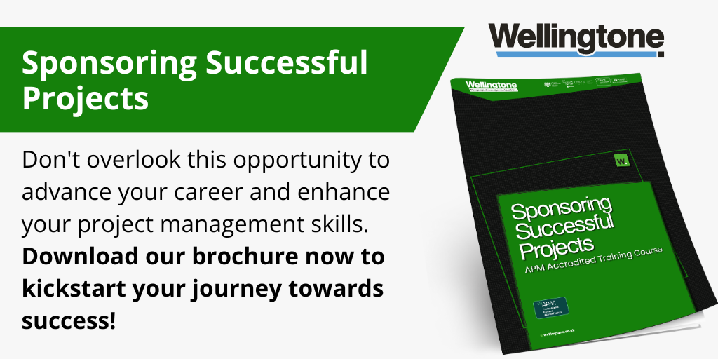 The Essential Role of a Project Sponsor: A Comprehensive Guide ...